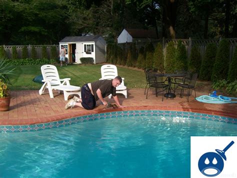 Image result for Installing Oval Pool