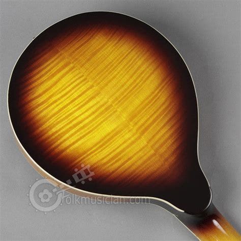 Image result for 6 String Mandolin