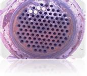 Image result for Apr Tube Testing