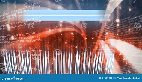 Image result for Coding Programs Orange S