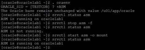 Image result for Oracle Create ASM Instance Manually