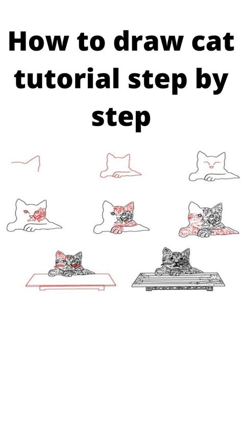 Cat Drawing Tutorial