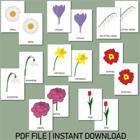 Image result for Flower Spring Movement Game