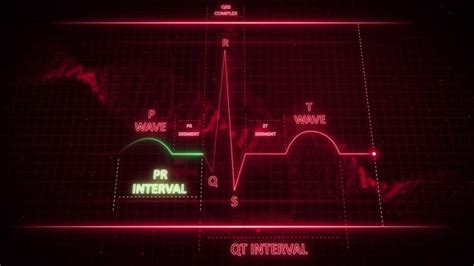 PR Interval - The Definitive Guide | Biology Dictionary