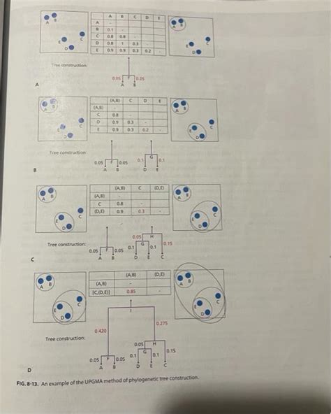 Image result for UPGMA Method CSIR Net Pyqs