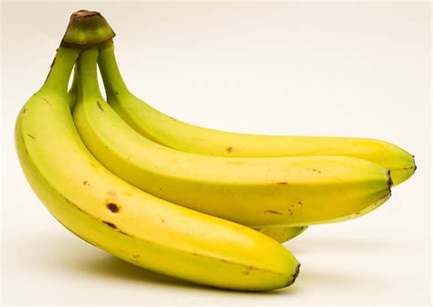Image result for Java Banaan