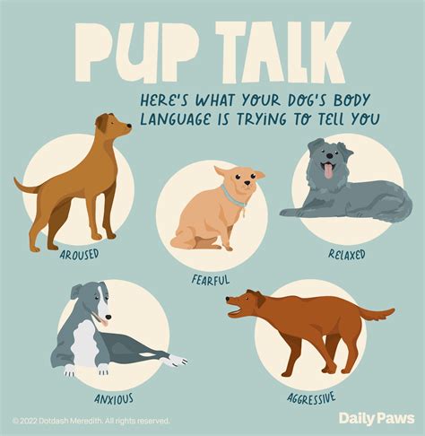 Image result for How Dogs Communicate with People