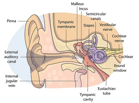 Image result for Positional Vertigo