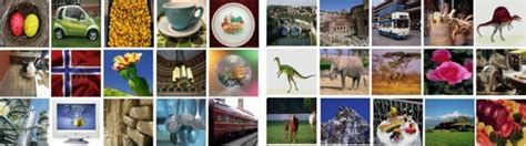 Image result for ImageNet Dataset