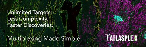 Image result for Multiplex IHC Kit