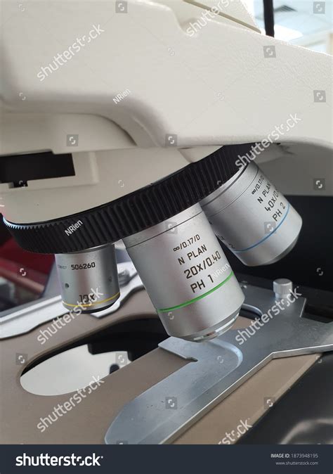 Image result for Magnification Microscope