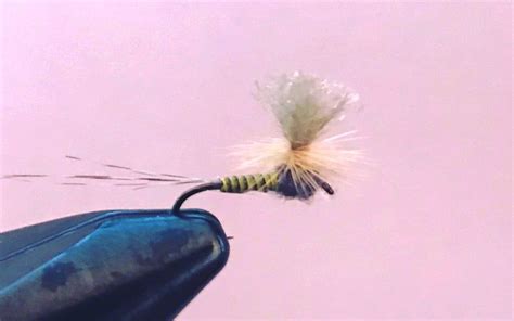 Image result for Fly Tying Using Body Quill