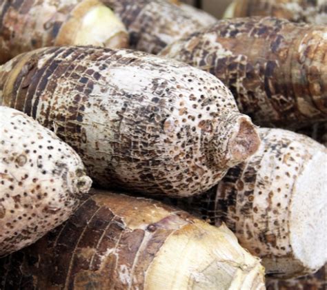 Image result for Different Types of Taro Root