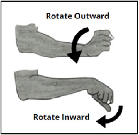 Image result for Neck Rotation Clockwise ROM