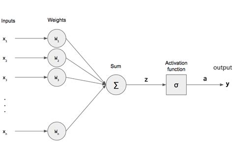 Image result for Perception Network Training Algorithm