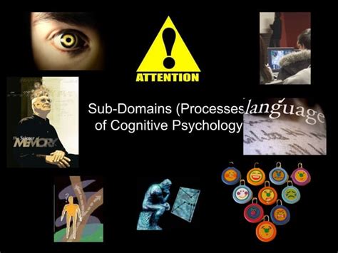 Image result for Different Types of Cognitive Processes