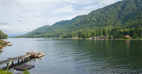 Image result for Phase One Sample