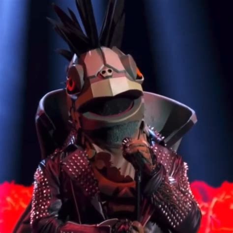 Image result for Masked Singer Turtle Performance