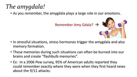 Image result for Brain Memory System