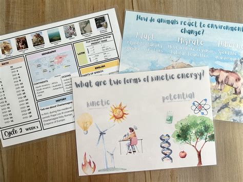 Image result for Cycle 2 Classical Conversations