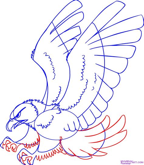 Image result for Hawk Drawing Easy Cartoon