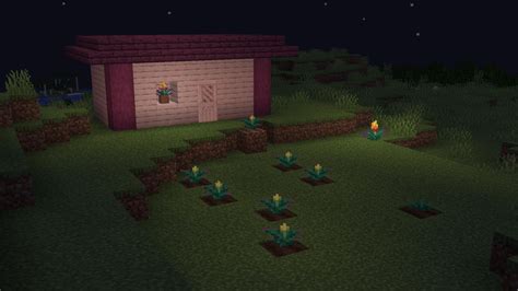 Image result for Torch Lighting Mod Minecraft