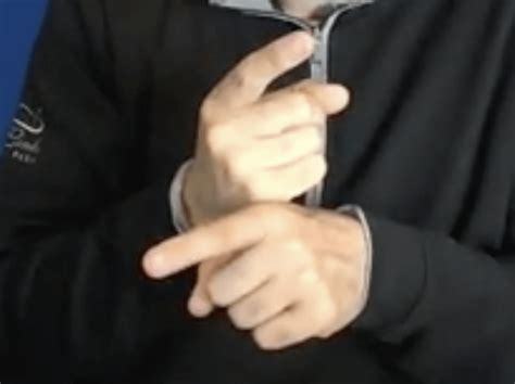 Image result for Everywhere ASL Sign