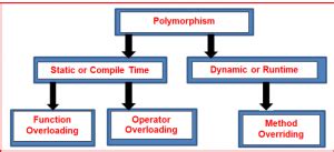 Image result for C Polymorphism Tutorials