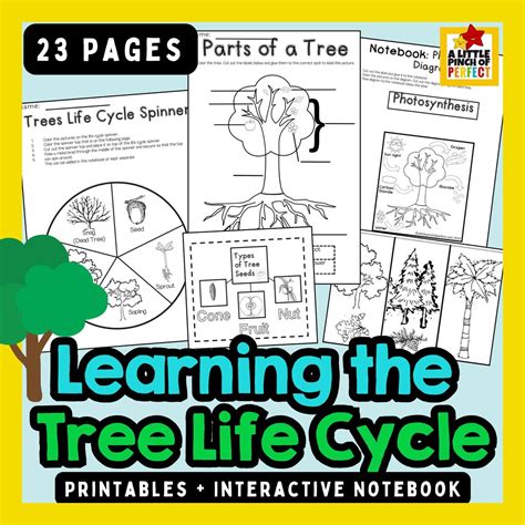 Image result for Tree Lesson