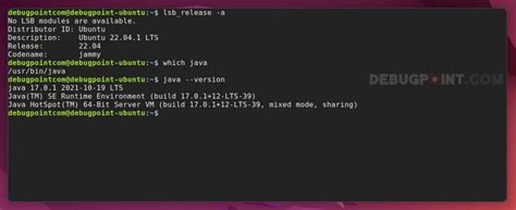 Image result for Install Java 17 Linux