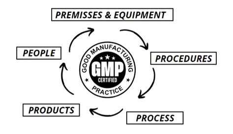 Image result for GMP Manufacturing Process