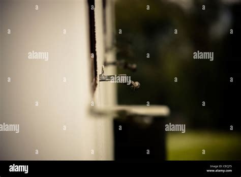 Image result for Window Locker