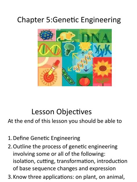 Image result for Genetic Engineering Lecture Notes PDF