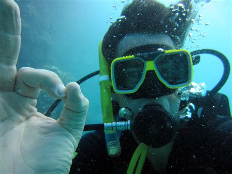 Image result for Diving Mask Finding Nemo