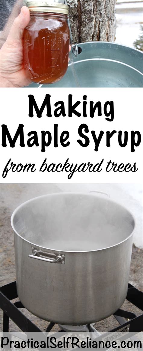 Image result for Quebec Maple Syrup Making