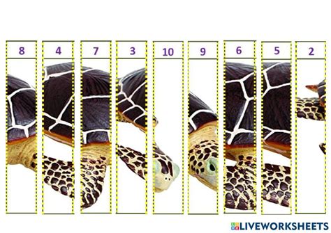 Image result for Coding Sequence Map for Kids
