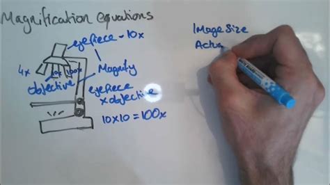 Image result for Magnification Equation Examples