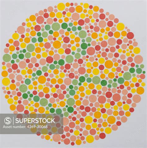 Image result for How to Perform Color Vision Test