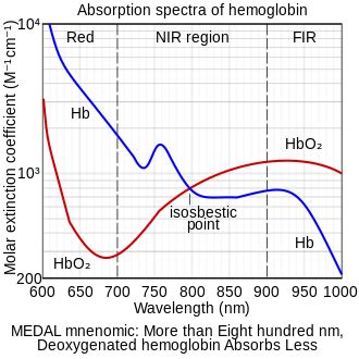 Functional near-infrared spectroscopy - Wikipedia