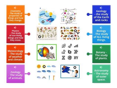 Image result for Different Types of Science