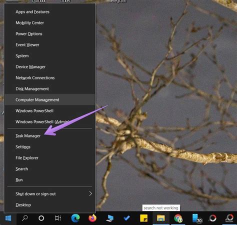 Image result for Windows Search Button Not Working Windows 1.0