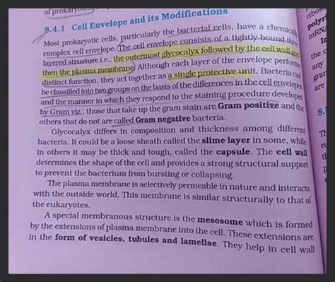 Image result for Cell Envelope and Its Modifications