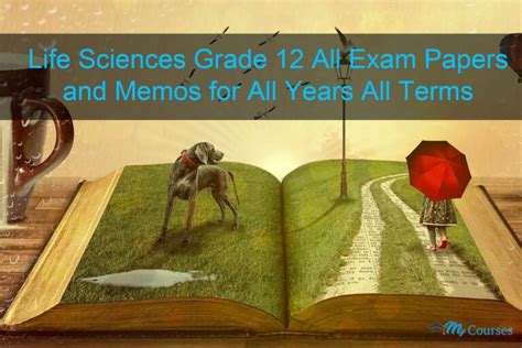 Image result for Grade 12 Life Science Evolution Test