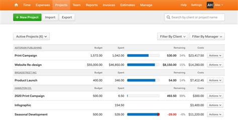 Image result for Project Management Budget Software Development