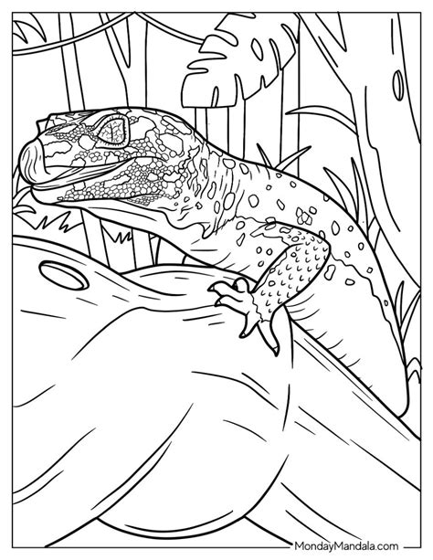 Image result for Lizard Coloring Pages