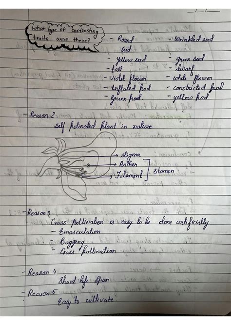 Image result for Principal of Inheritance Class 12 Notes