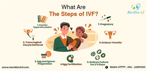 Image result for IVF Process