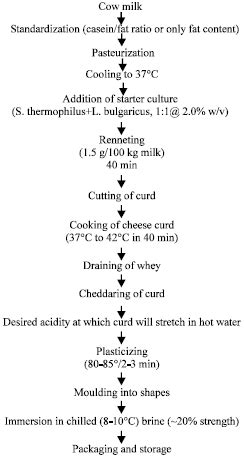 Image result for Cheese Making Process Video