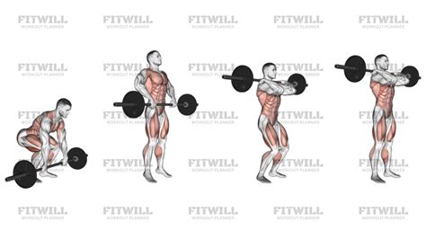 Image result for How to Do a Power Clean