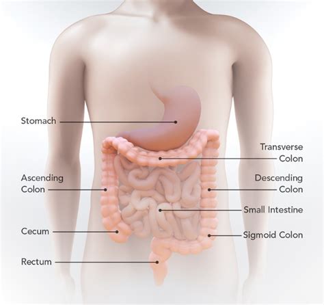 Image result for Colon Channel TCM